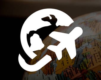 Airplane decals | Etsy