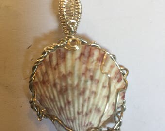 Sea shell wire wrap | Etsy