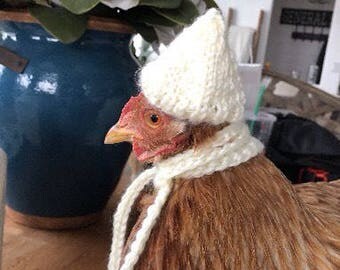 Chickens hats | Etsy