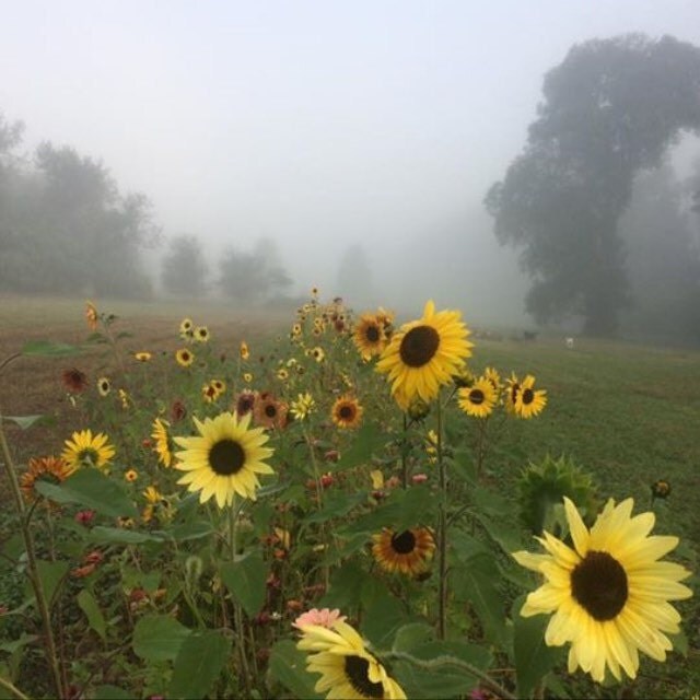 Gretchen Kelly Studio in Hudson NY by gretchenkellystudio on Etsy