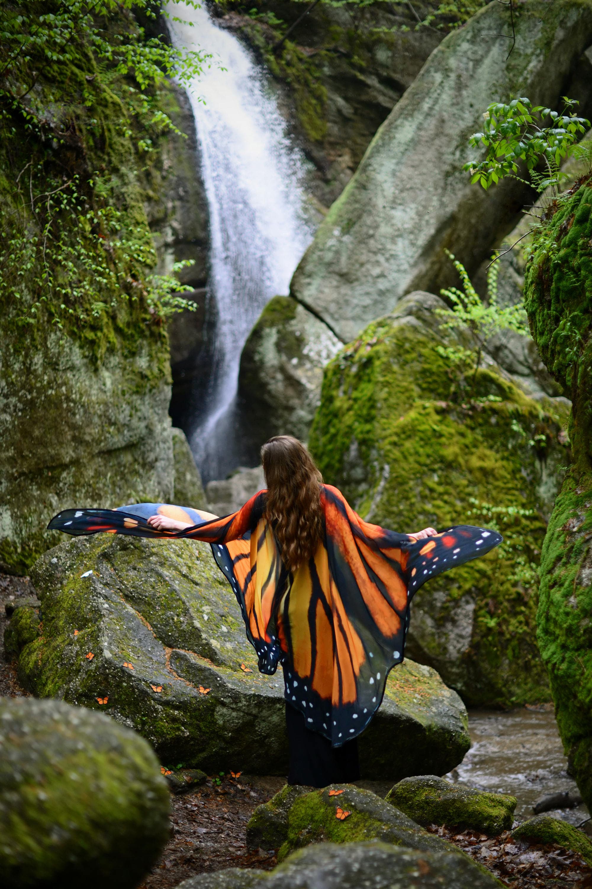 Butterfly wings Monarch cape costume adult Fairy cape chiffon