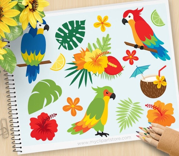 Parrots Clipart Tropical Birds Palm Leaves Beach tropical