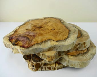 Tree trunk slices | Etsy