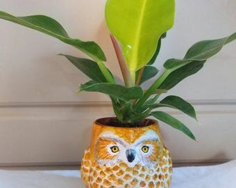 Owl flower pot | Etsy
