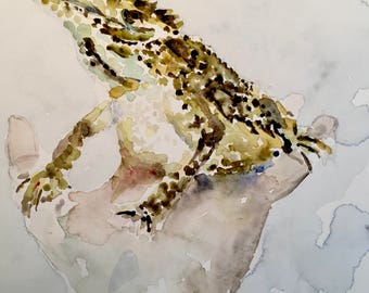 Toad watercolor | Etsy