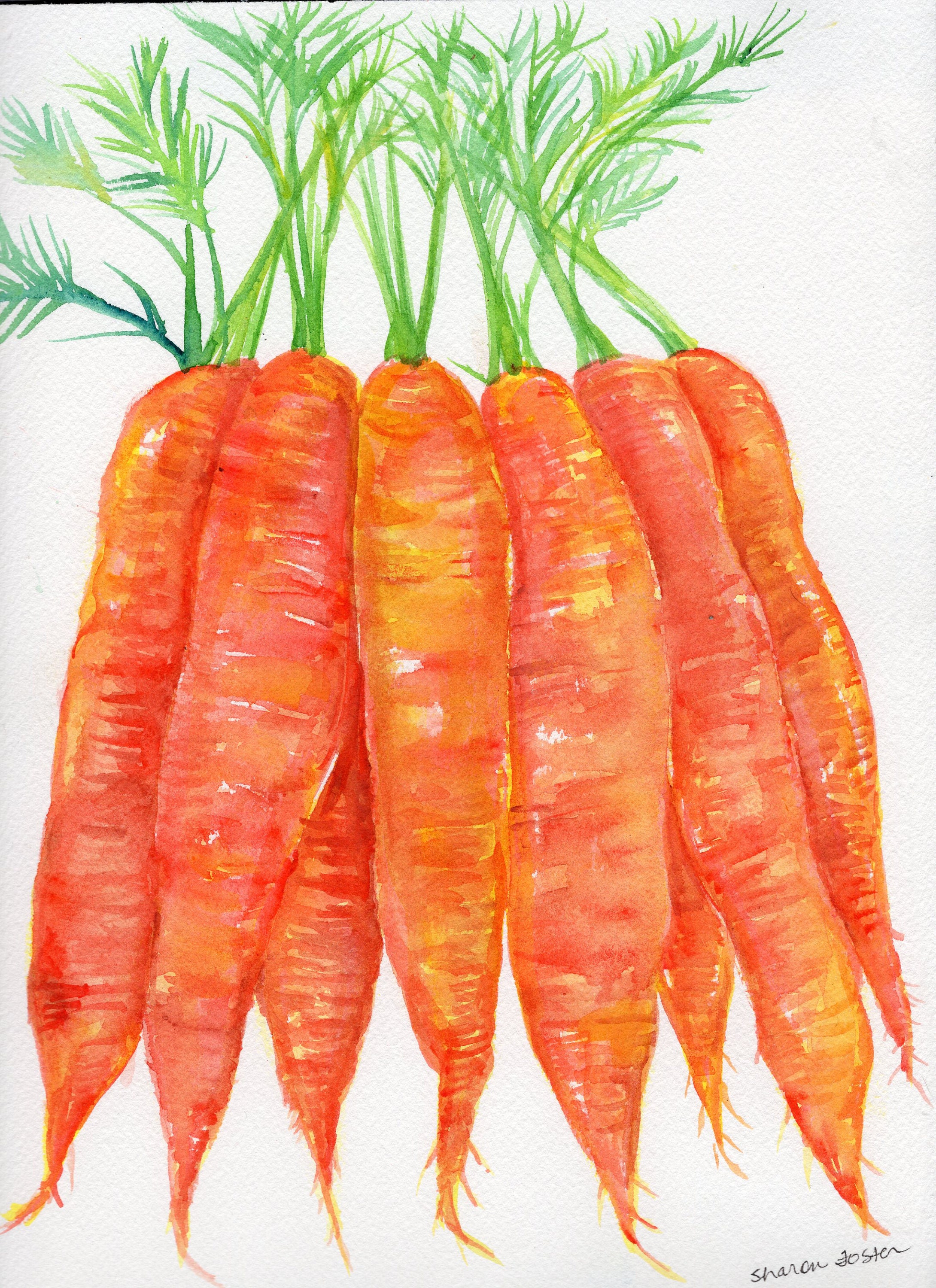 Carrots watercolor painting original vegetables 9 x 12