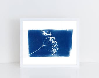 Cyanotype print | Etsy