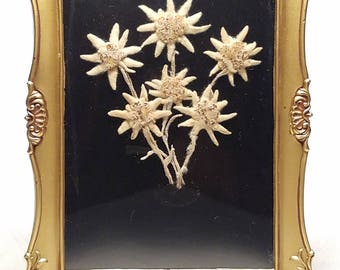 Framed dried flowers | Etsy