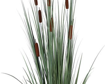 Wedding Plants | Etsy