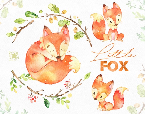 Little Fox. Cute animal clipart watercolor woodland forest