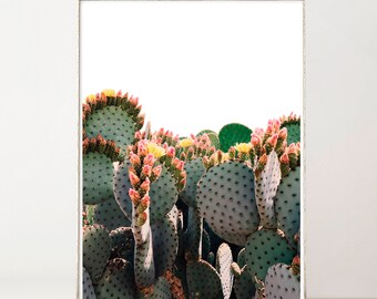 Cactus print | Etsy