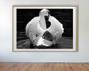 Swan print | Etsy