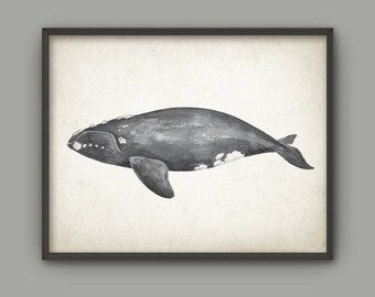 Whale painting | Etsy