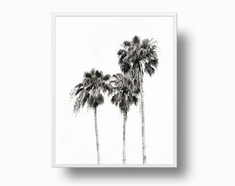 Palm tree printable | Etsy
