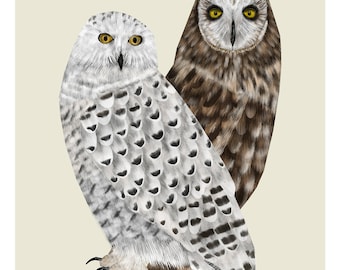 Bears and Owl Illustration Woodland Animals Nursery Art Print