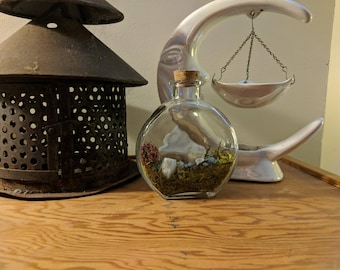 Potion bottles | Etsy