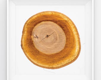 Tree ring print | Etsy