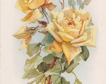 Catherine klein | Etsy