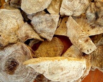 Mirabilis jalapa | Etsy