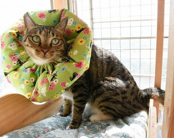 Elizabethan collar | Etsy