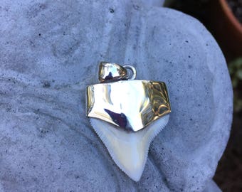 Shark tooth pendant | Etsy