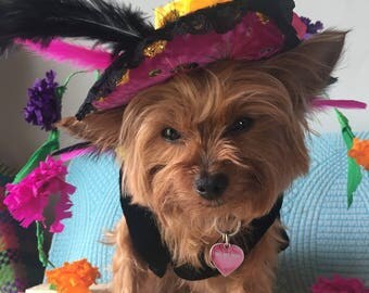 Day of the dead dog | Etsy