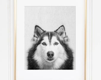 Husky printable | Etsy