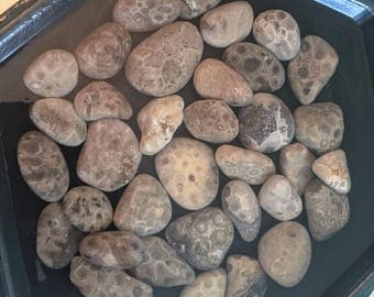 Raw petoskey stone | Etsy
