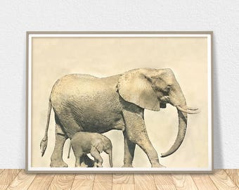 Elephant poster | Etsy