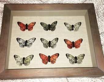 Insect Art Real Butterfly Shadow Box with Peacock Swallowtail