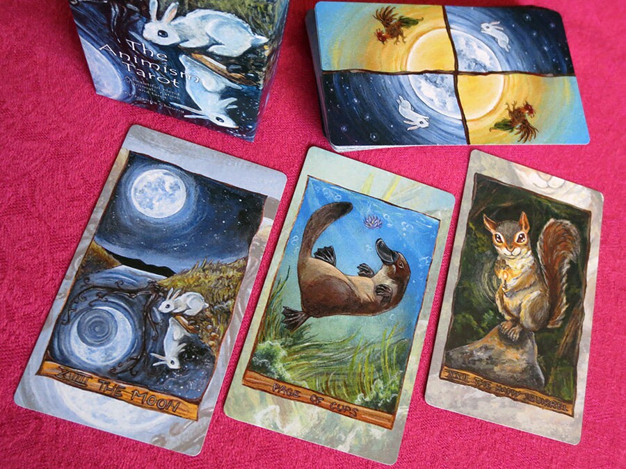 Animism Tarot Deck 79 Card Animal Tarot Happy Squirrel Tarot