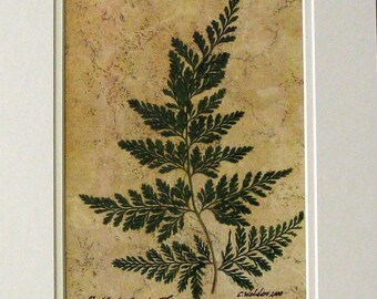 Fern art | Etsy