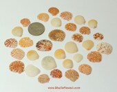 Hawaiian Heirloom jewelry. Made with aloha...by by ShellsHawaii