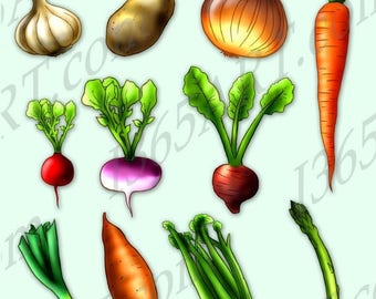 Vegetable Digital Clipart Fresh Herbs Clipart Vegetable Clip