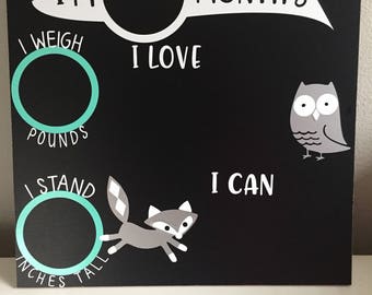 Baby Month Milestone Chalkboard Baby Milestone Chalkboard