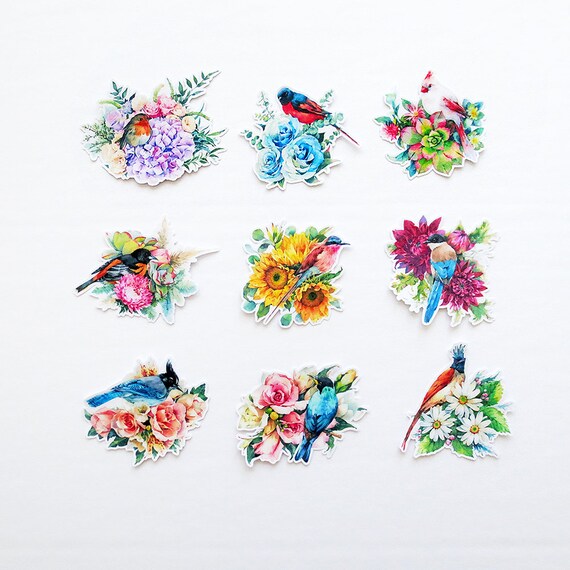 Birds Sticker Pack Songbird Series C Bird Stickers Ephemera