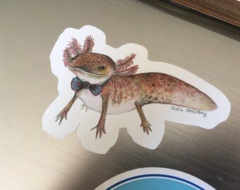 Axolotl sticker | Etsy