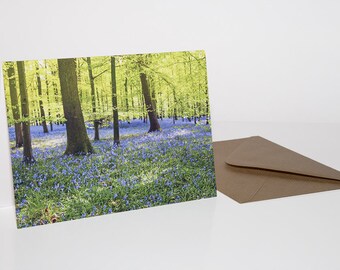 Woodland scene | Etsy