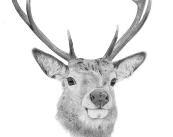 Tartan Stag Multi Cross Stitch Pattern PDF Only Instant