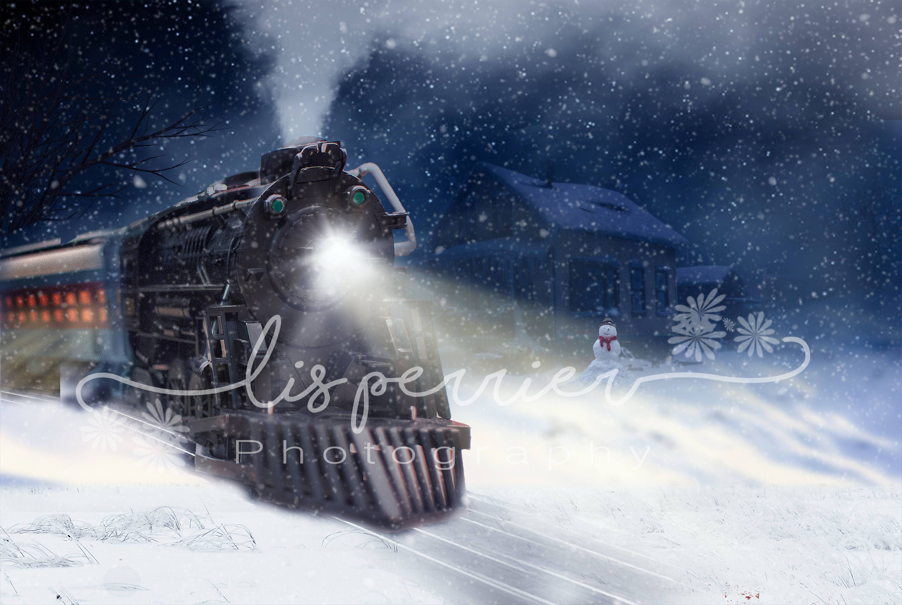 Polar Express Digital Background