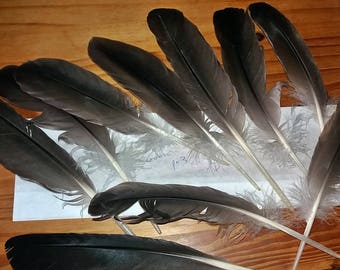 Feather quill pen | Etsy