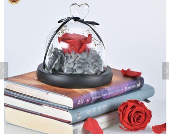 Rose in glass dome | Etsy