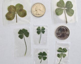 4 leaf clover | Etsy