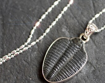 Trilobite pendant | Etsy