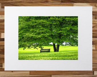 Large tree art | Etsy