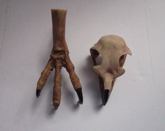 Haast eagle fossil raptor reproduction foot talon claws life