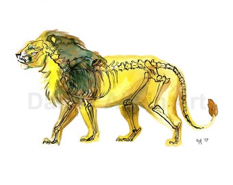 Lion skeleton | Etsy