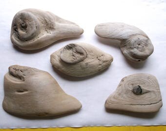 Bulk driftwood | Etsy