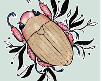 Beetle illustration | Etsy