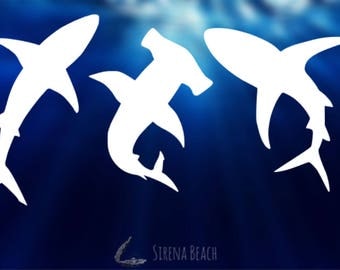 Shark decal | Etsy